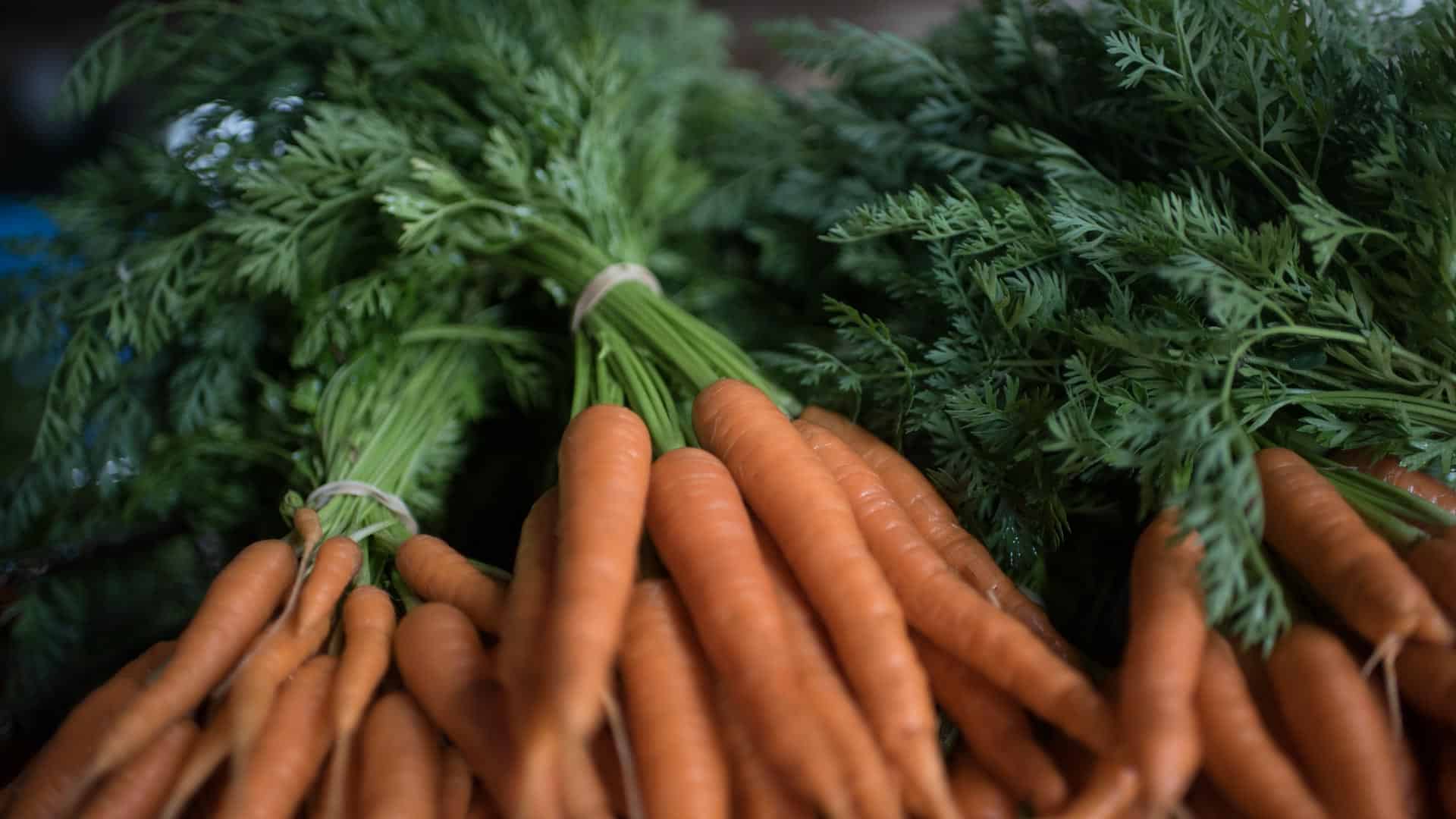 About | Heartbeet Farm