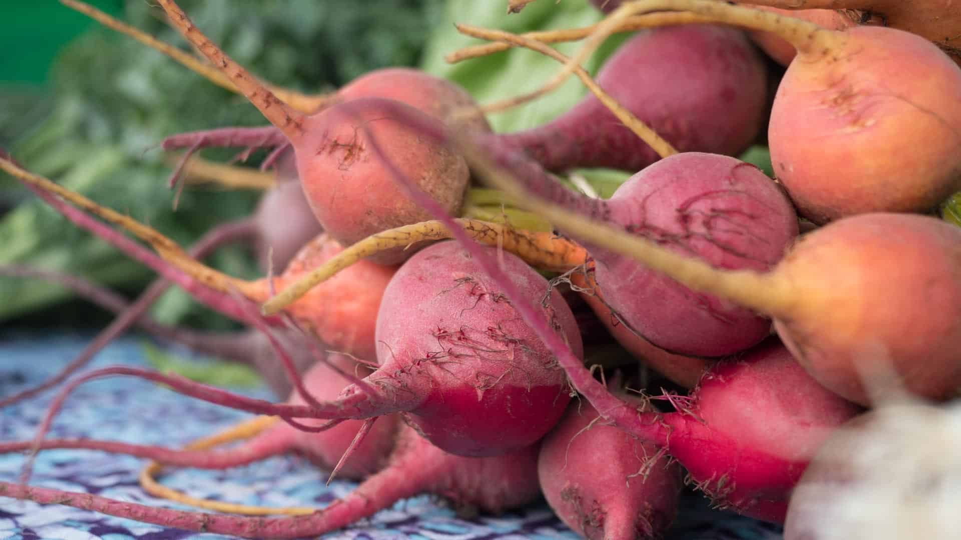 Contact Us | Heartbeet Farm